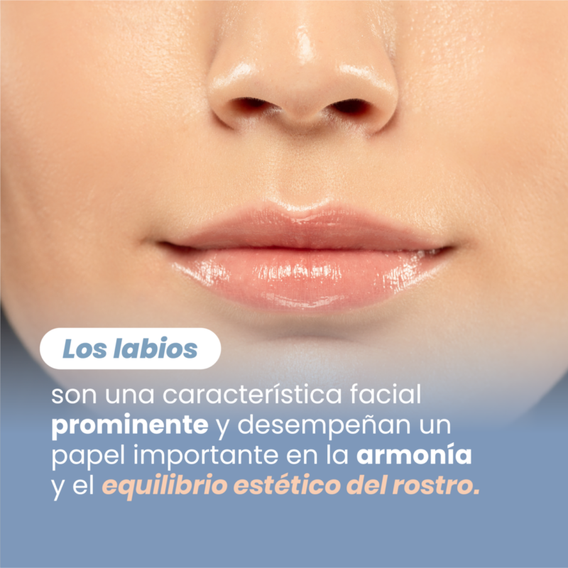 Que tan importante es la forma y grosor de labios – IMEBELLE – Clínicas ...